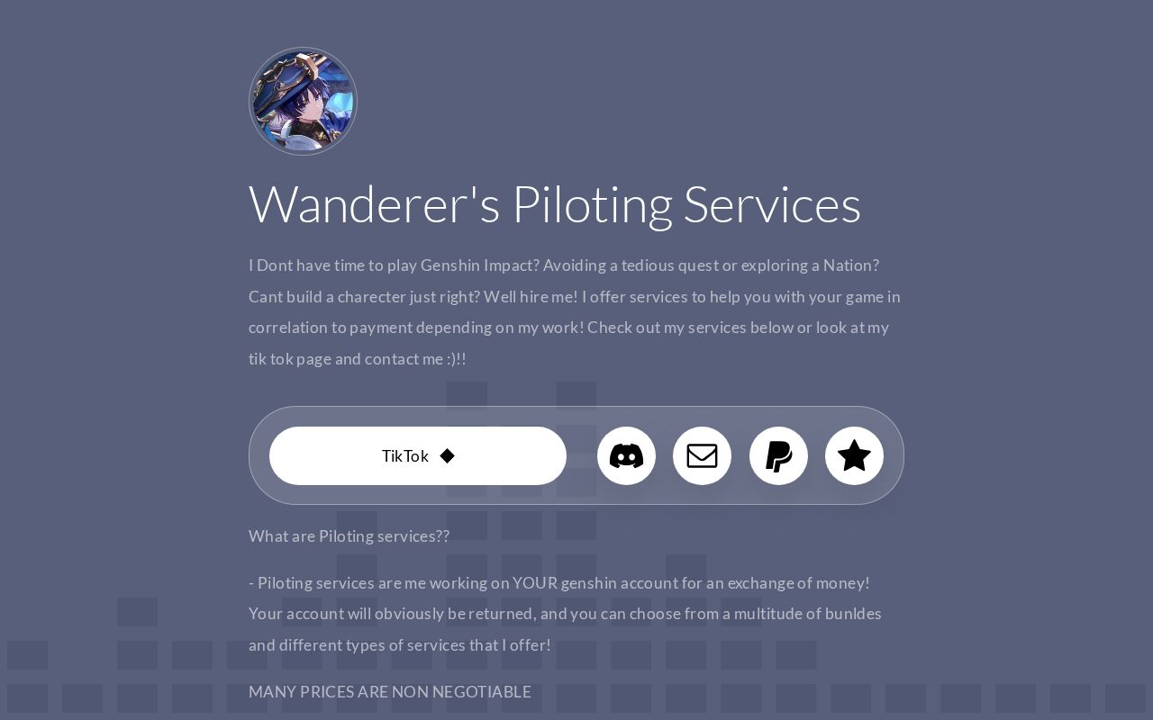 Wanderer's Piloting Services